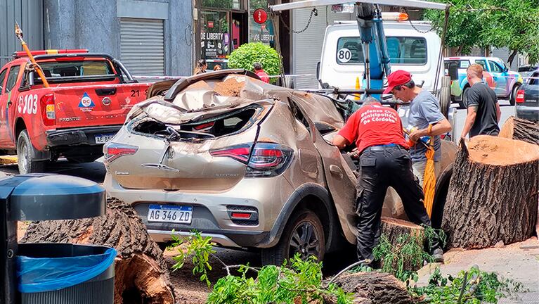 Cayó un árbol en el centro de Córdoba y aplastó dos autos: una mujer herida | ElDoce