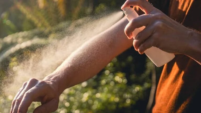 La Anmat Prohibió Un Repelente De Mosquitos Qué Marca No Hay Que